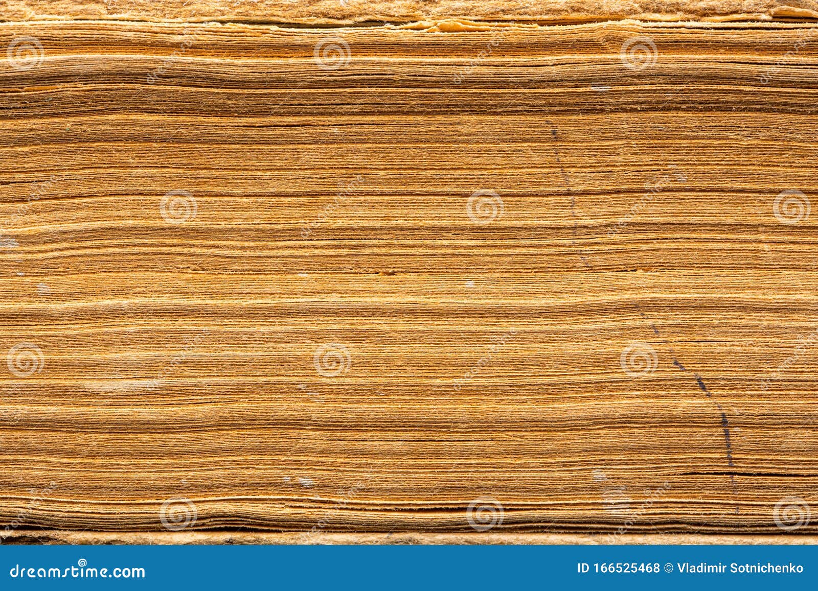 Book Pages Side View