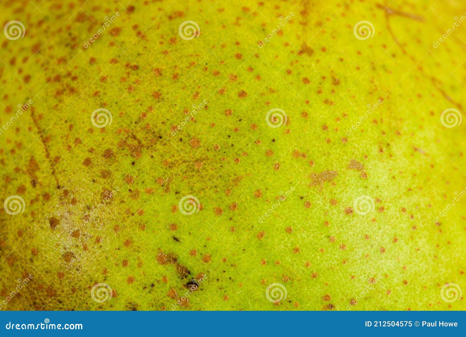 Pear Skin Texture stock image. Image of advertising - 212504575