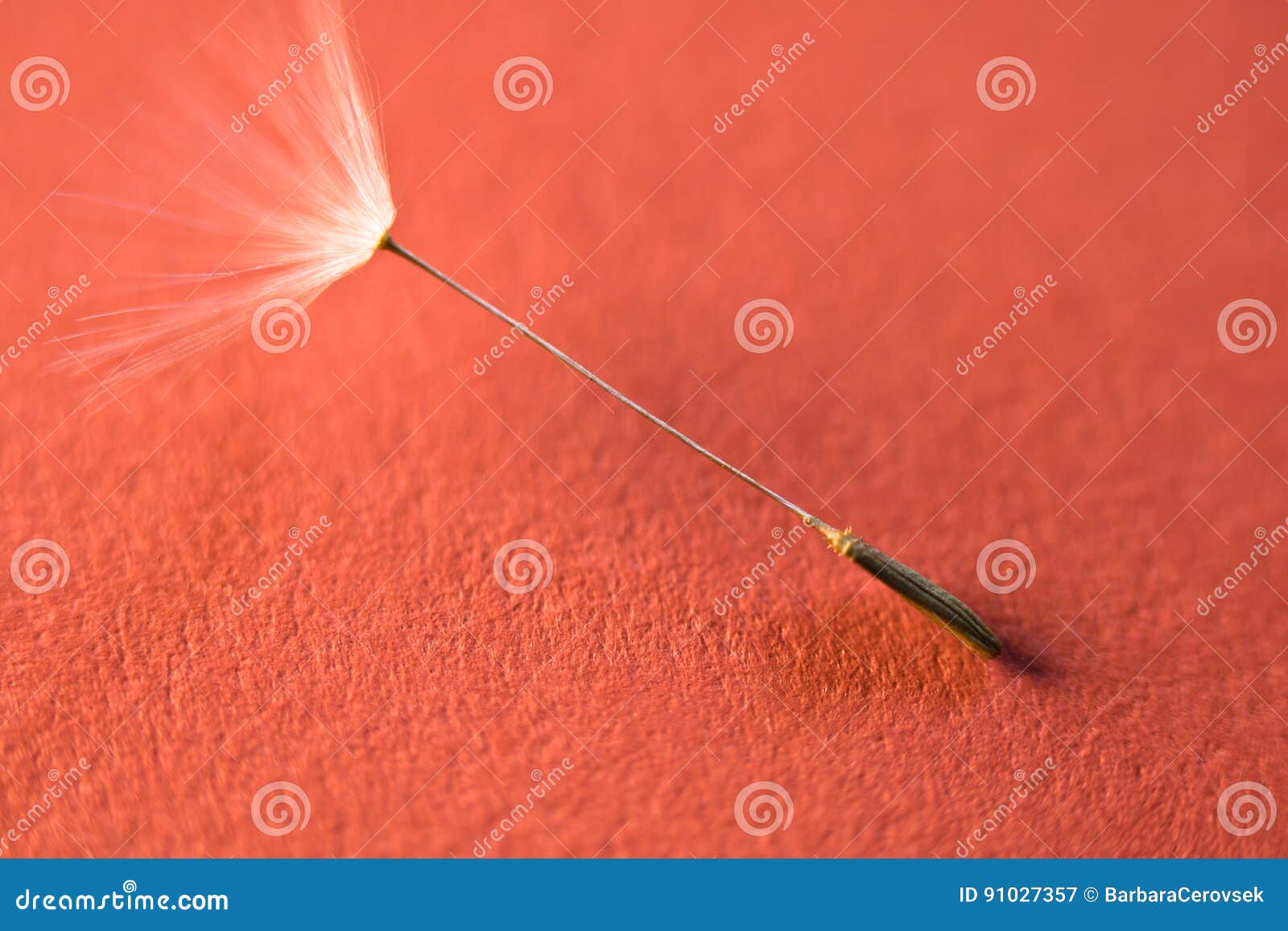 Highlighted Arrow Stock Photos - Free & Royalty-Free Stock Photos from ...