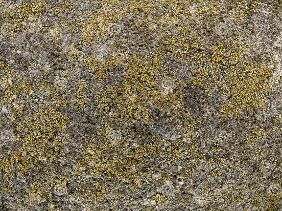 Macro Texture - Stone - Mottled Stock Photo - Image of magnified ...