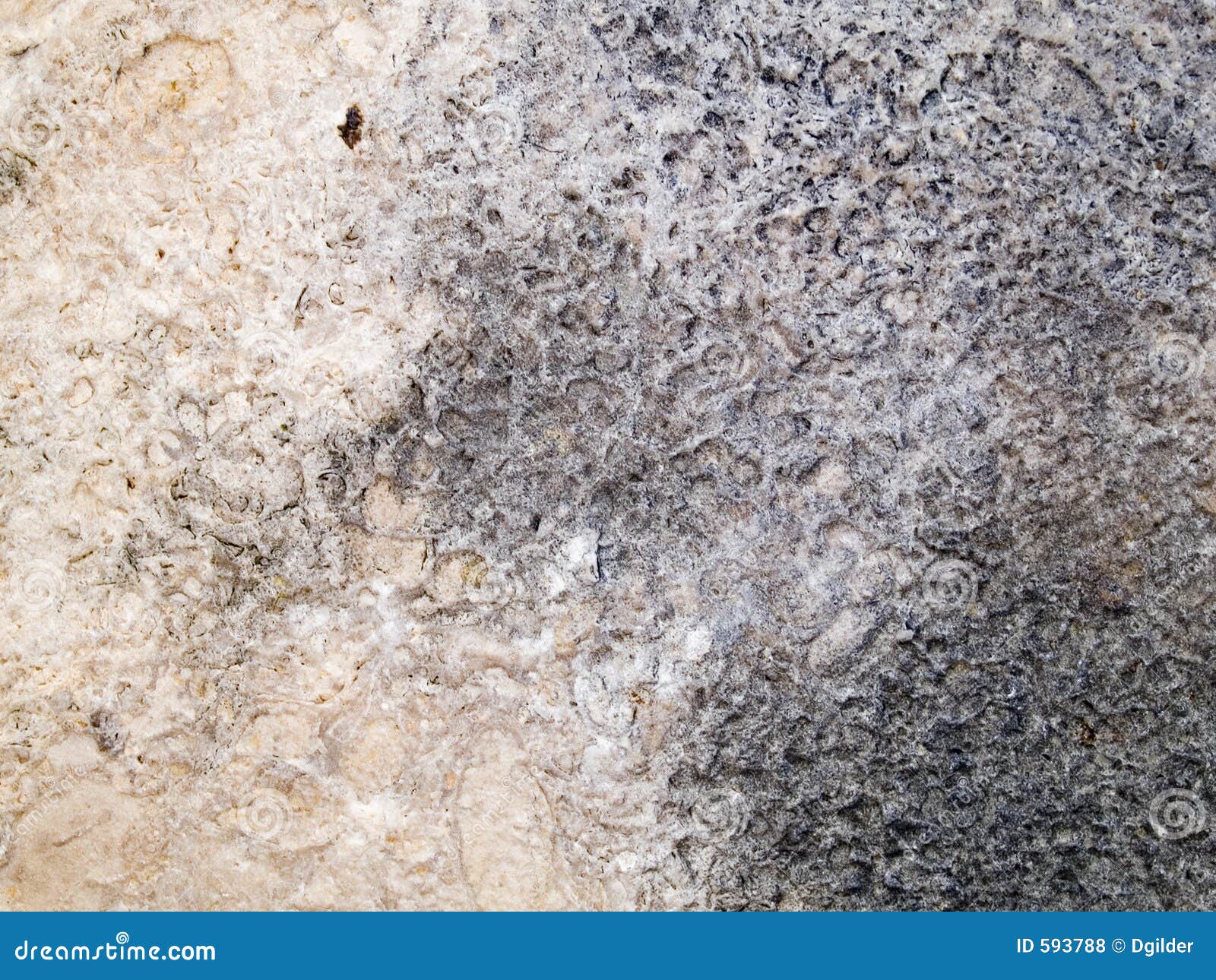 Macro Texture - Stone - Mottled Rock Stock Photo - Image of closeup ...