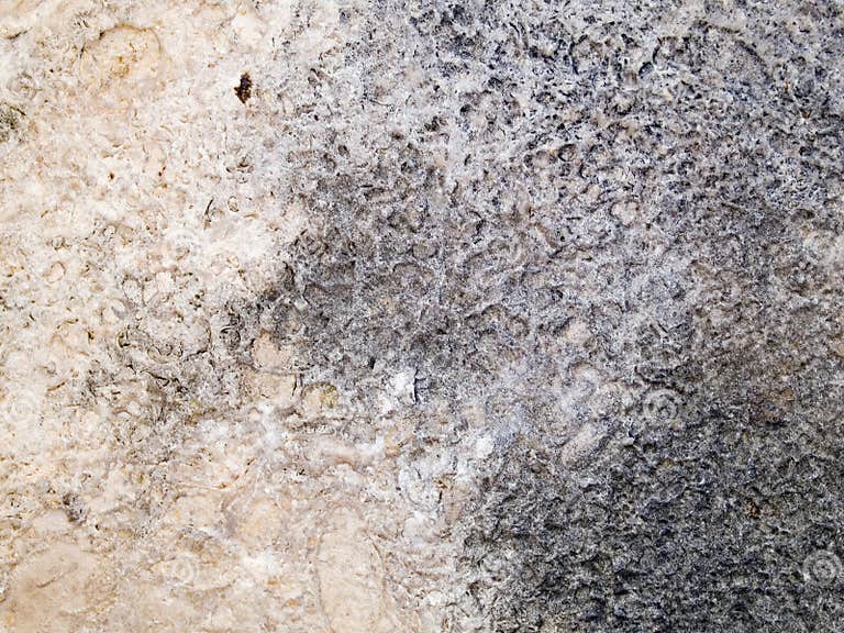 Macro Texture - Stone - Mottled Rock Stock Photo - Image of closeup ...