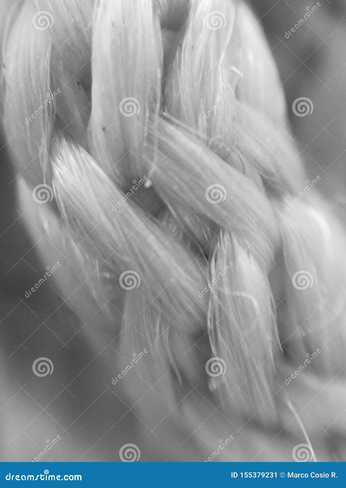 Macro Texture String BW stock image. Image of texture - 155379231