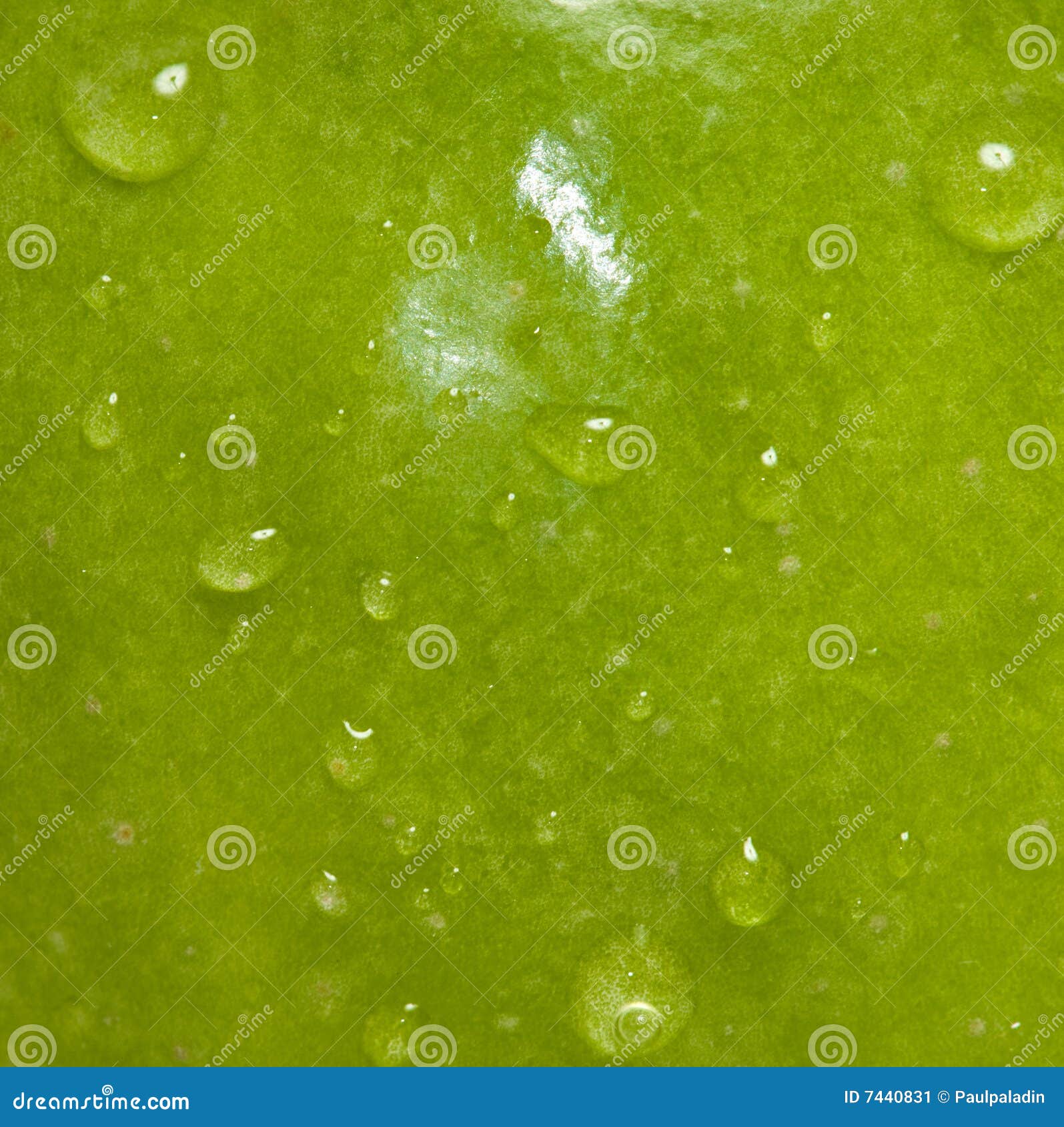 Macro texture vert pomme image stock. Image of peau, texture - 7440831