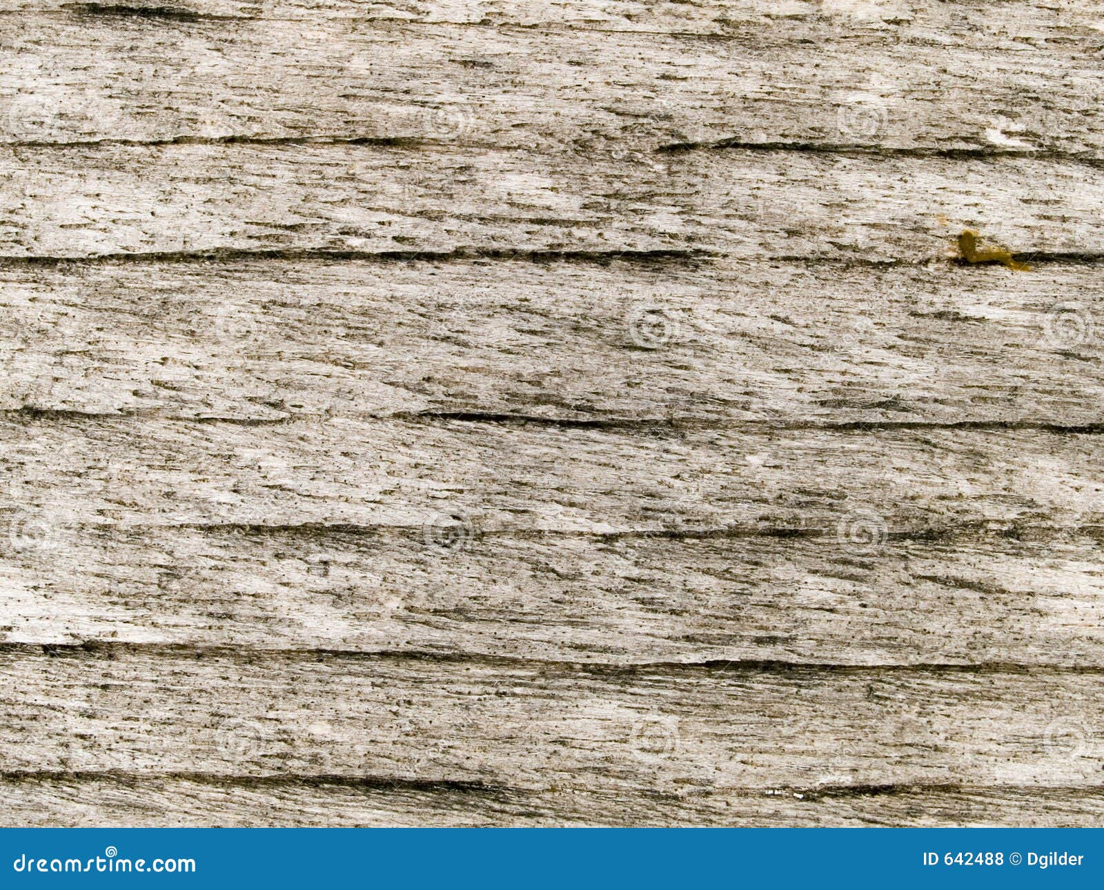 Macro Texture - Wood - Grain Stock Photo - Image of style, background ...