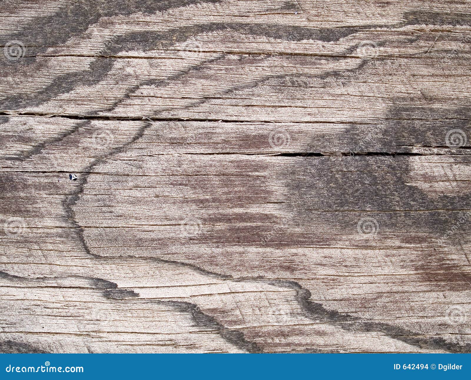 Macro Texture - Wood - Grain Stock Photo - Image of layer, cracked: 642494