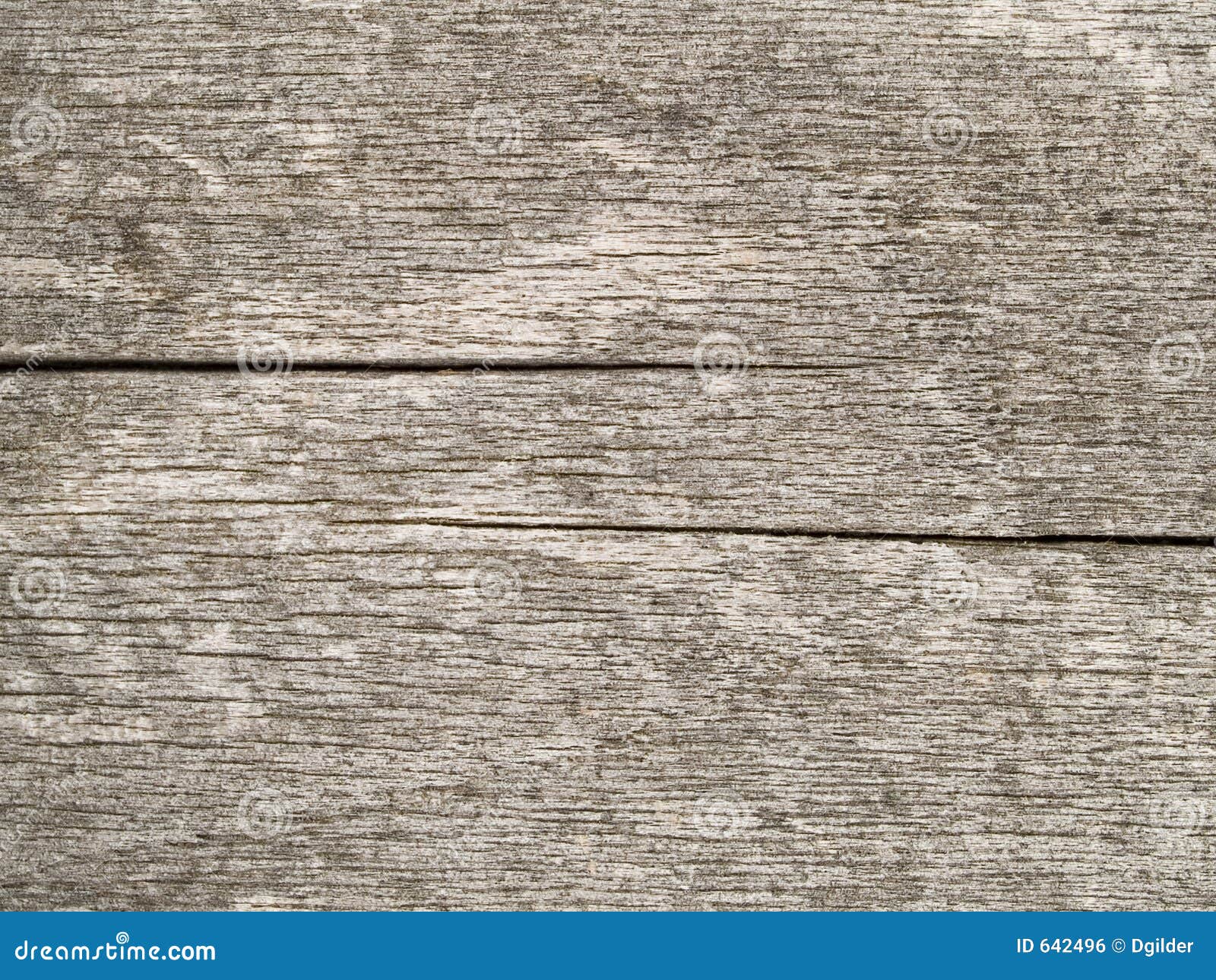 Macro Texture - Wood - Grain Stock Photo - Image of magnified, texture ...