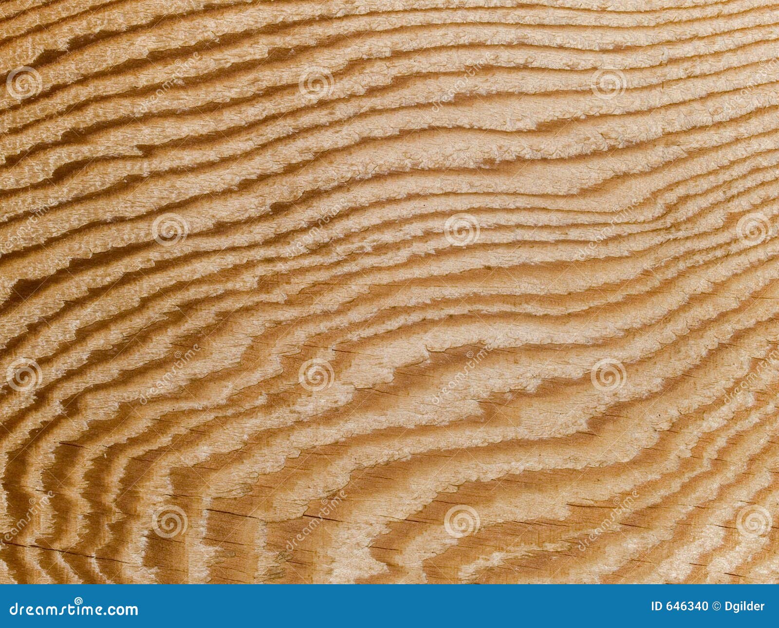 Macro Texture - Wood - Grain Stock Photo - Image of dirty, grit: 646340