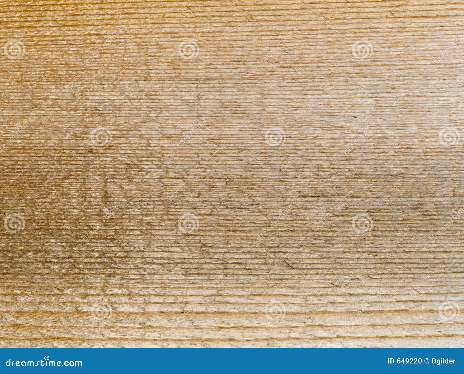 Macro Texture - Wood - Grain Stock Photo - Image of details, dirty: 649220