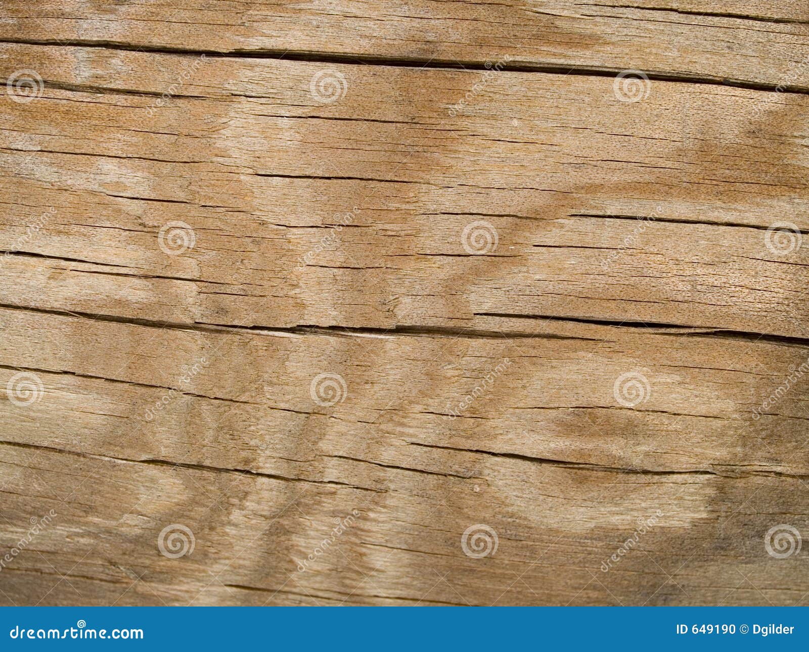 Macro Textuur - Hout - Dat Met Patroon Is Gebarsten Stock Foto - Image ...