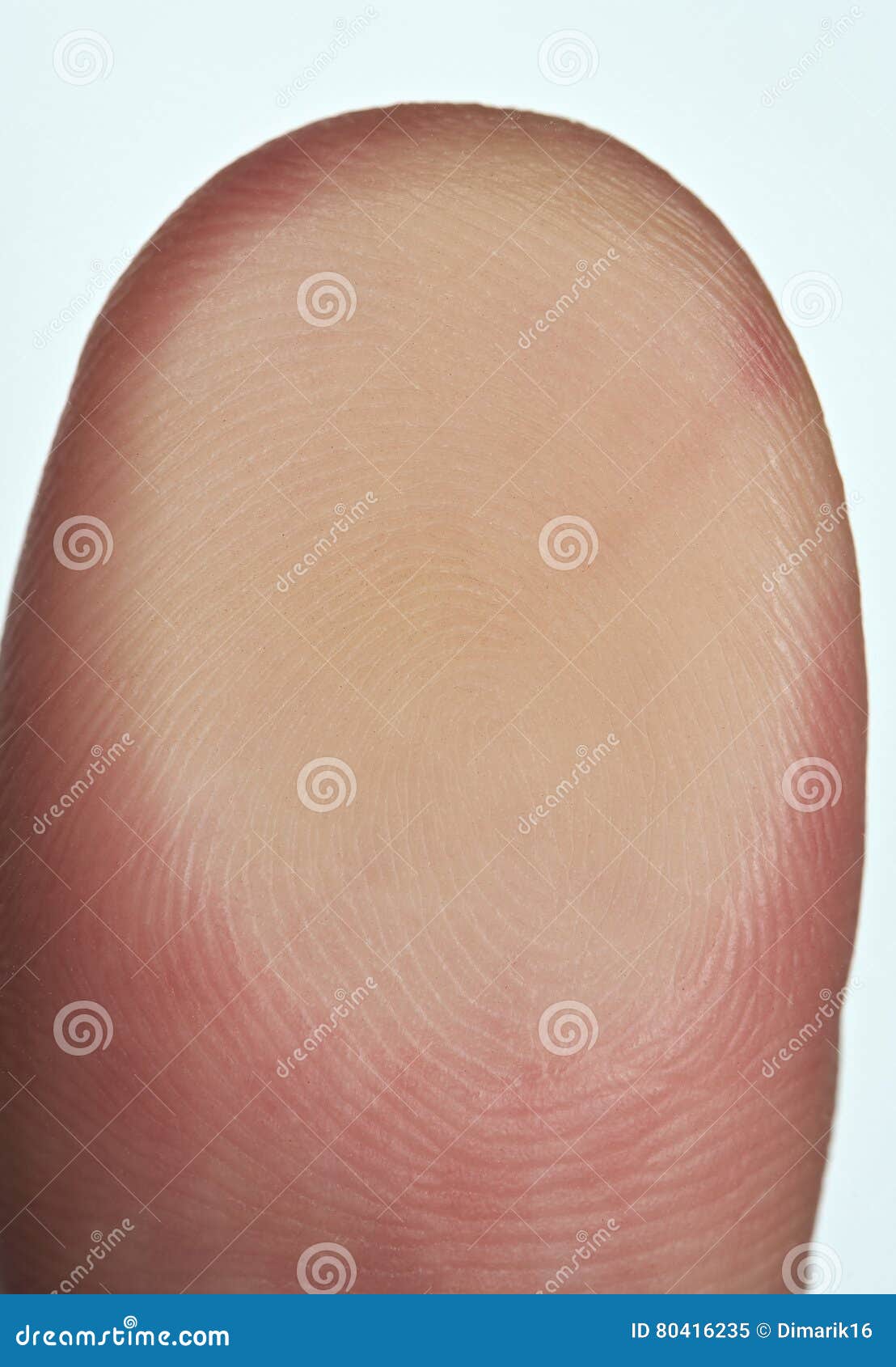 Macro of Thumb Lines Finger Stock Image - Image of business, indoor ...
