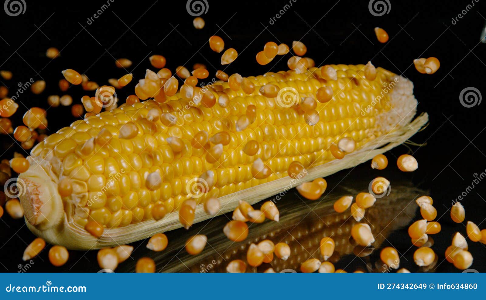 MACRO: Tiny Kernels of Corn Fall Onto a Raw Cob on the Polished Dining ...