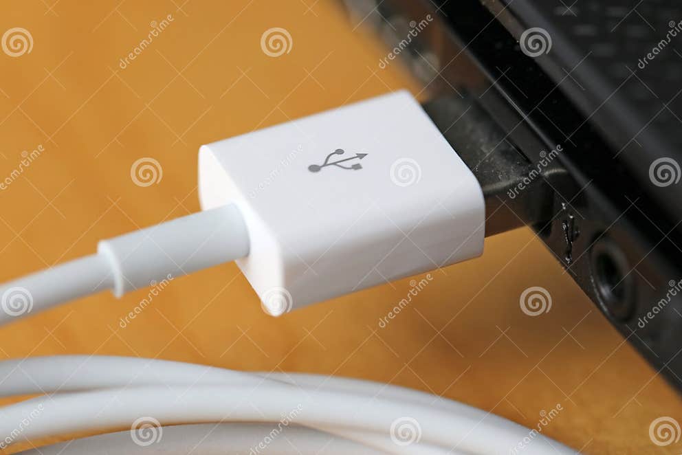 Macro usb cable stock photo. Image of network, information - 35739760