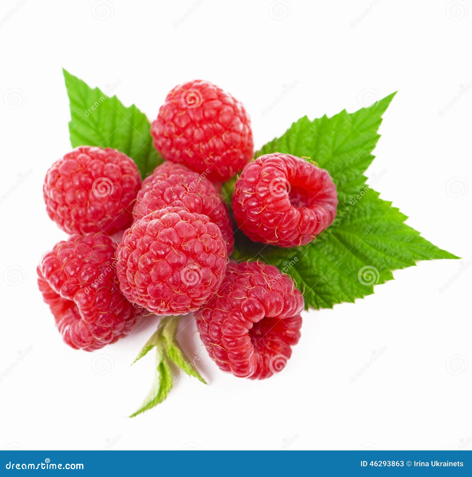 Macro van rode framboos stock afbeelding. Image of smelten - 46293863