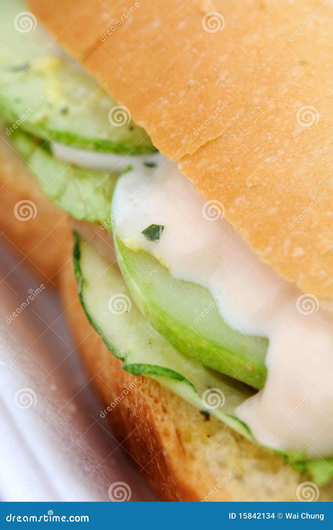 Macro of vegetarian burger stock photo. Image of delicious - 15842134
