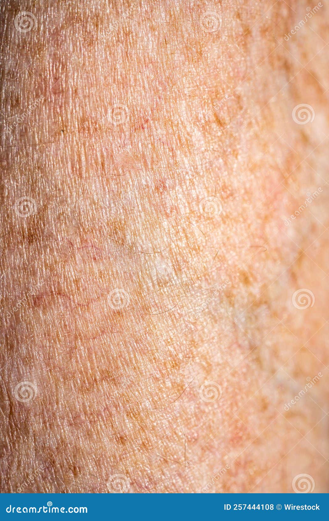 Macro Vertical Da Textura Da Pele Humana. Foto de Stock - Imagem de ...