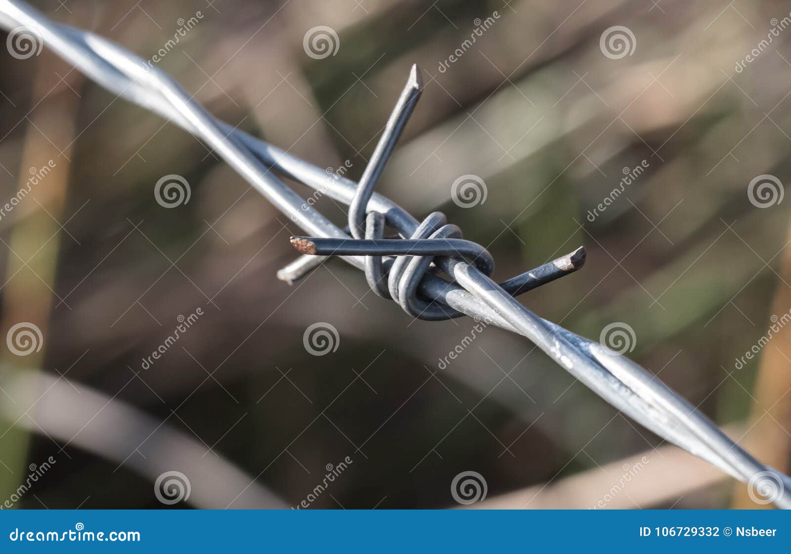 Macro View of Barbed-wire Seen on a Border Control Crossing Point ...