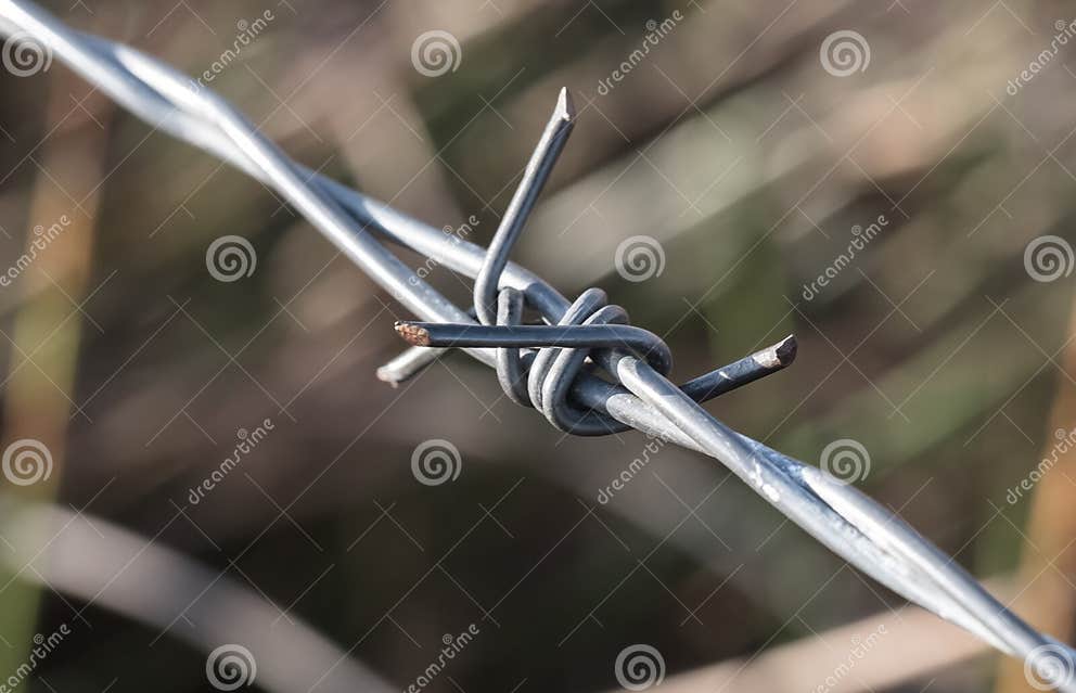 Macro View of Barbed-wire Seen on a Border Control Crossing Point ...