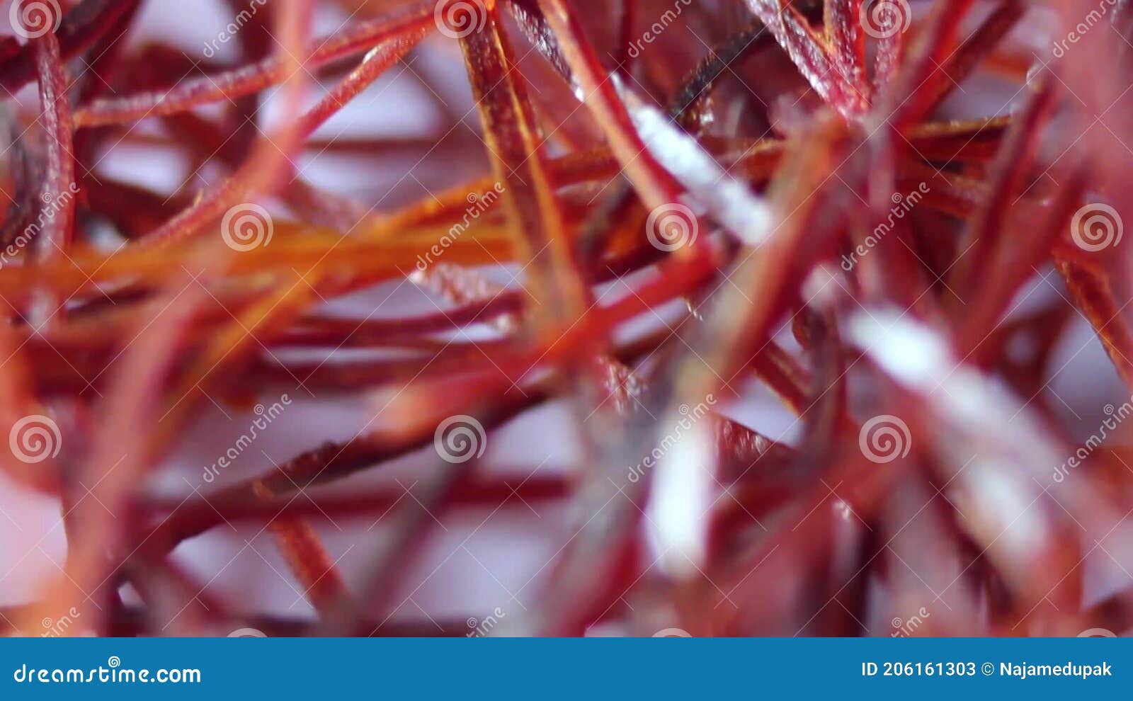 Macro View of Dried Saffron Red Stigma Threads Stock Video - Video of ...