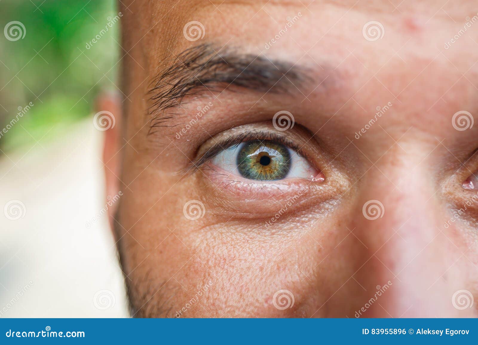 Macro view of an eye stock photo. Image of eyelash, inspiration - 83955896