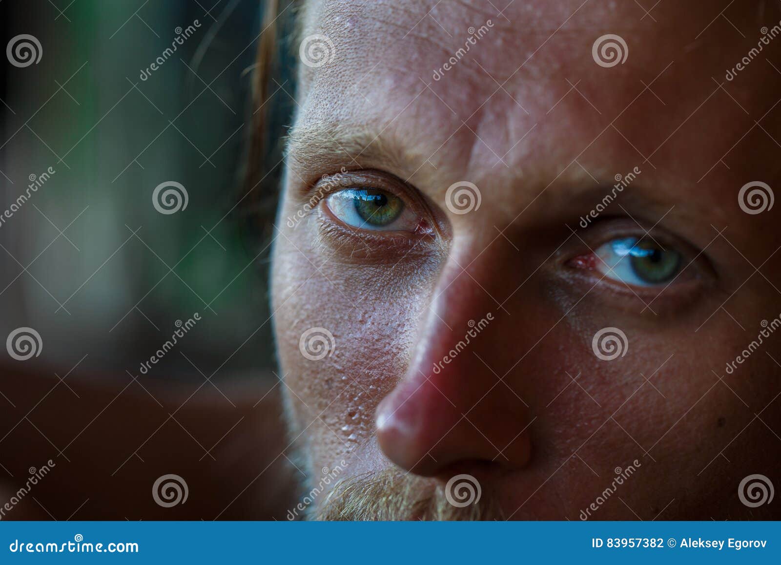 Macro view of an eye stock photo. Image of care, human - 83957382
