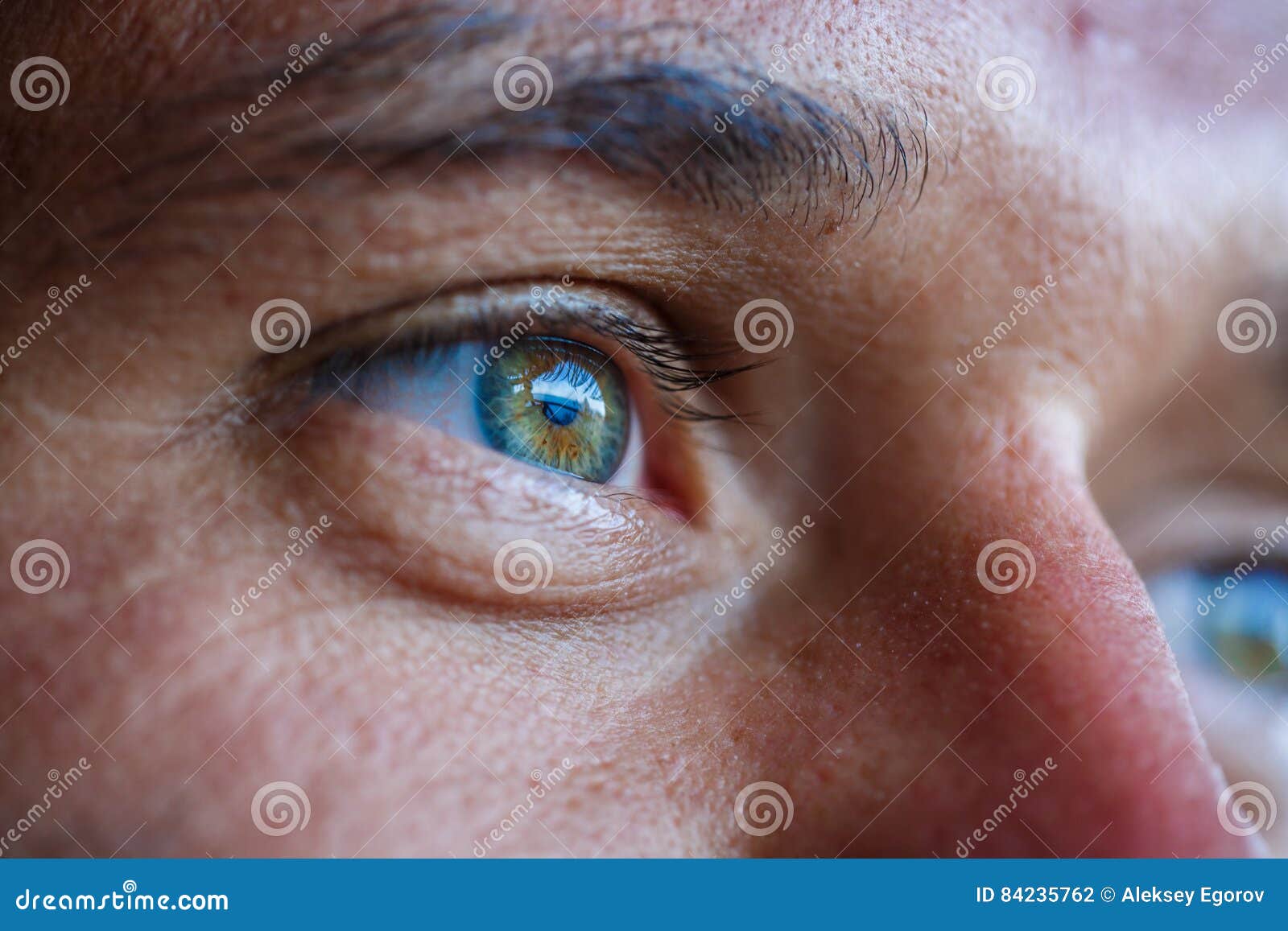 Macro view of an eye stock photo. Image of creative, green - 84235762