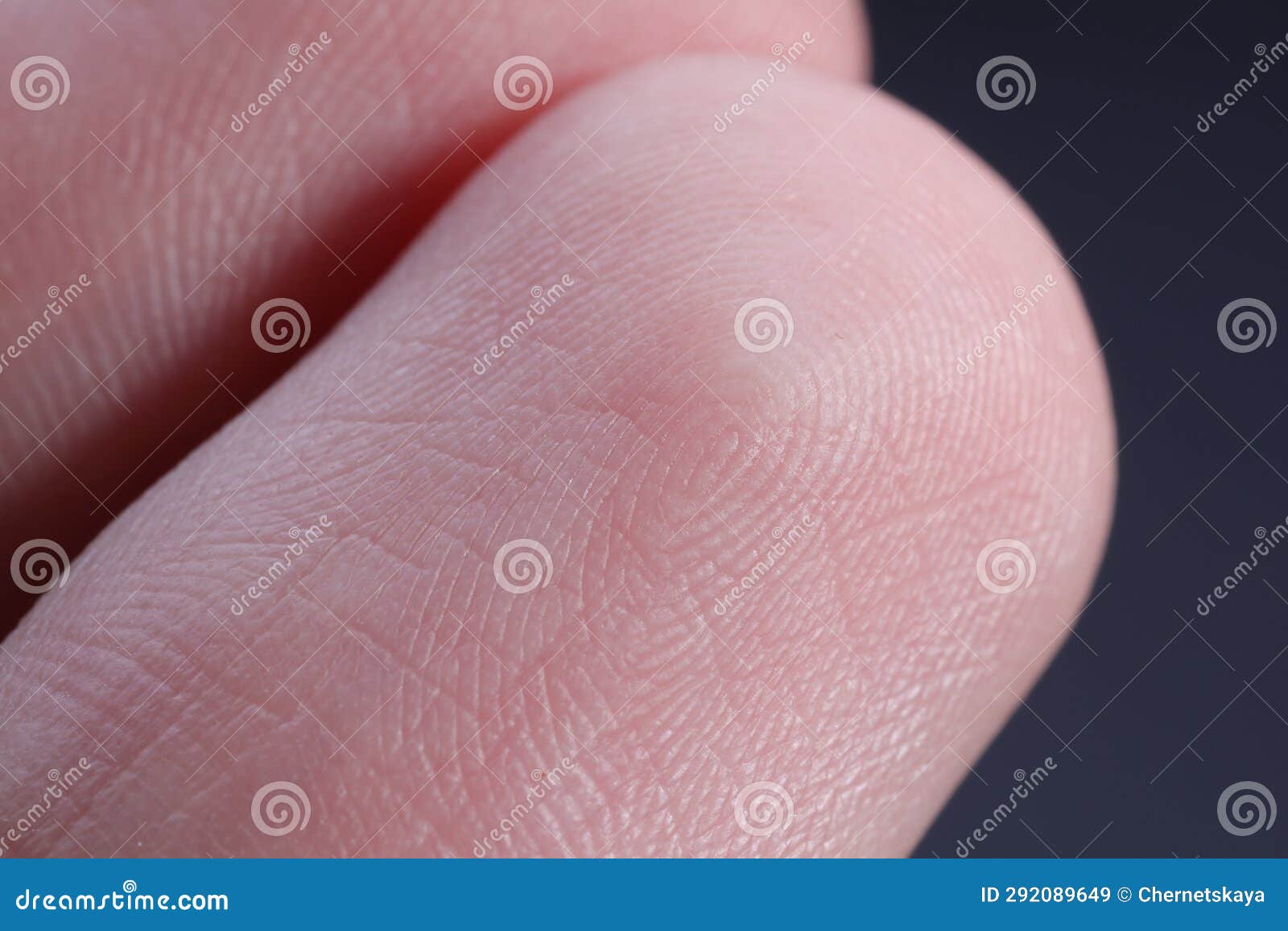 Macro View of Finger with Friction Ridges Stock Image - Image of line ...