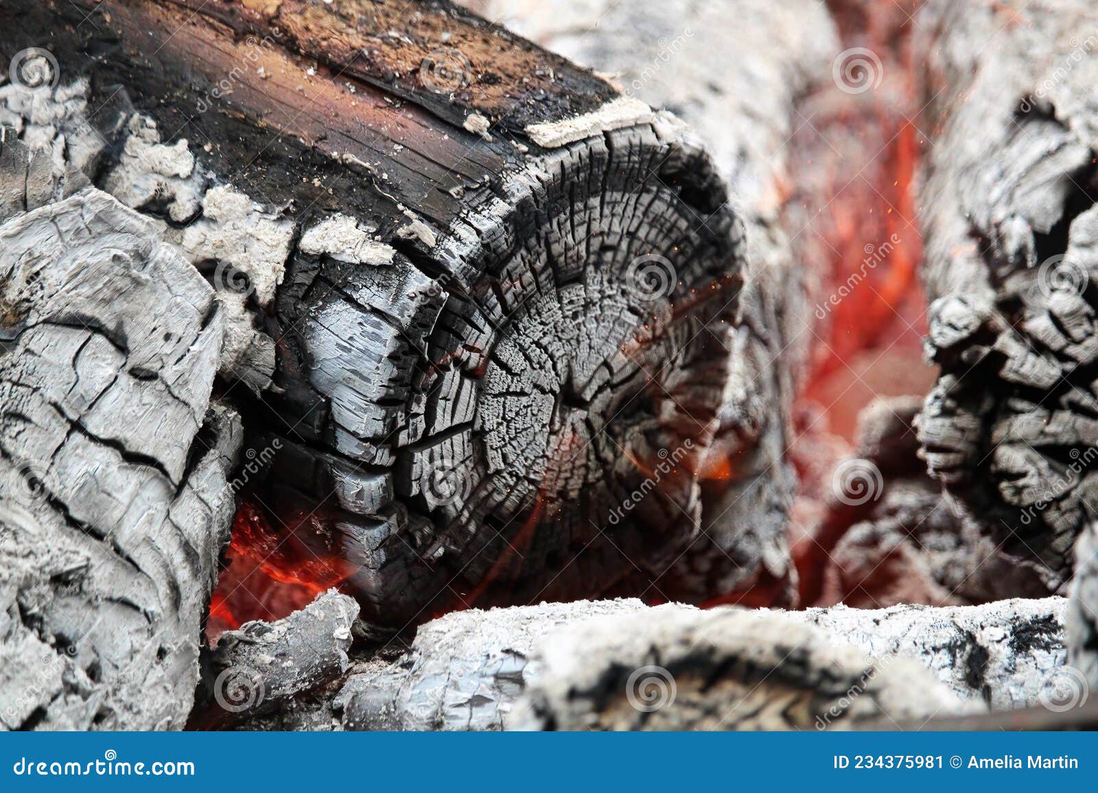 Macro View of Logs Burning during a Fire Stock Image - Image of ember ...