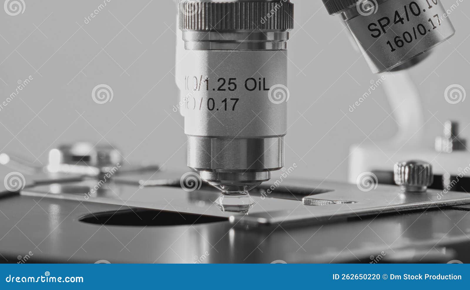 Macro View of Microscope and Slide. Stock Photo - Image of learning ...