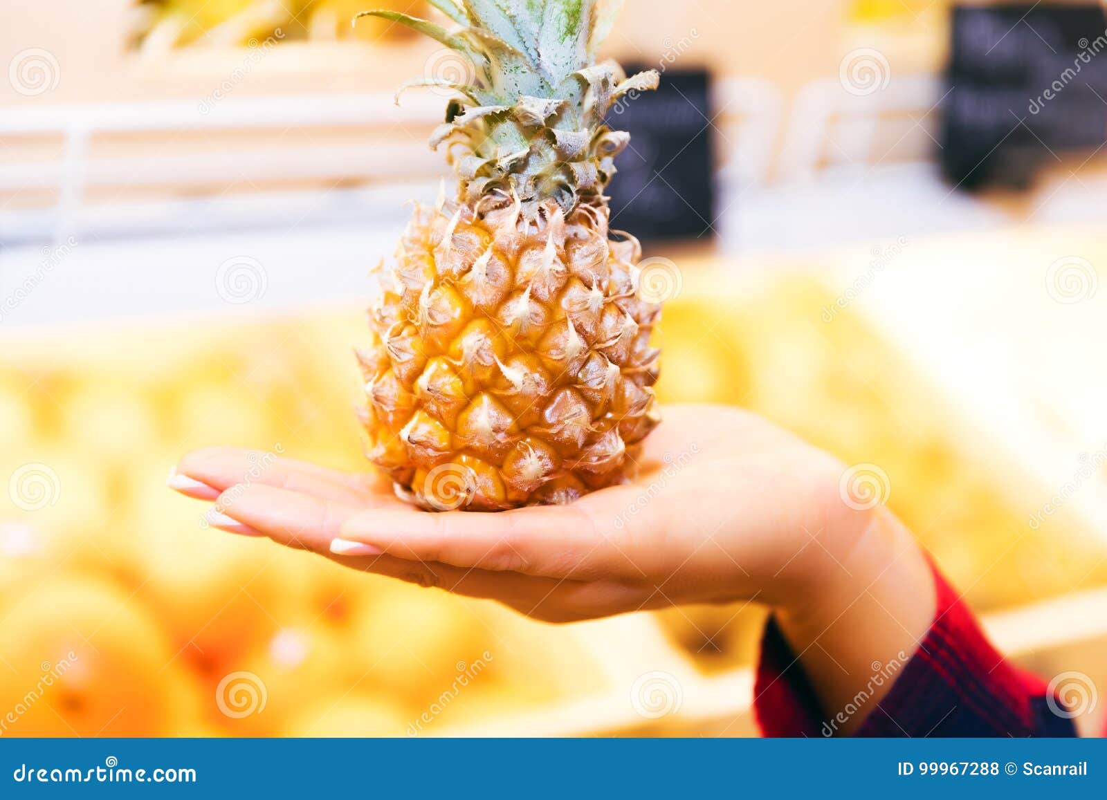 Mini Pineapple On Land And Leaves Spiky. Stock Image | CartoonDealer ...