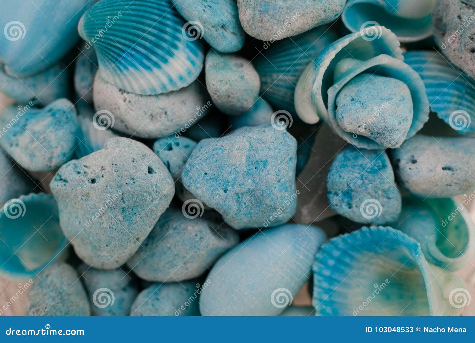 Macro View of Seashells. Seashell Background. Texture of Blue Seashells ...