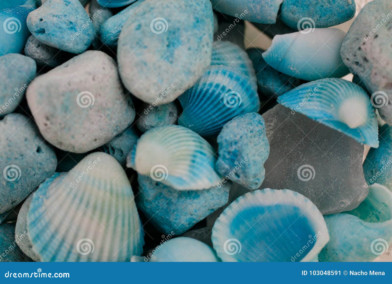 Macro View of Seashells. Seashell Background. Texture of Blue Seashells ...
