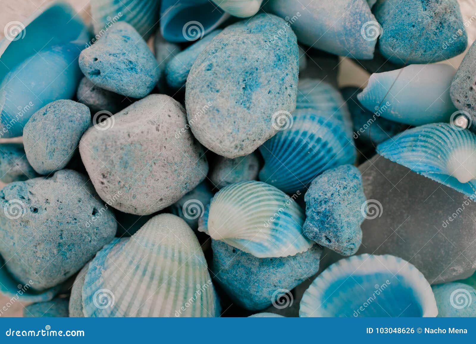 Macro View of Seashells. Seashell Background. Texture of Blue Seashells ...