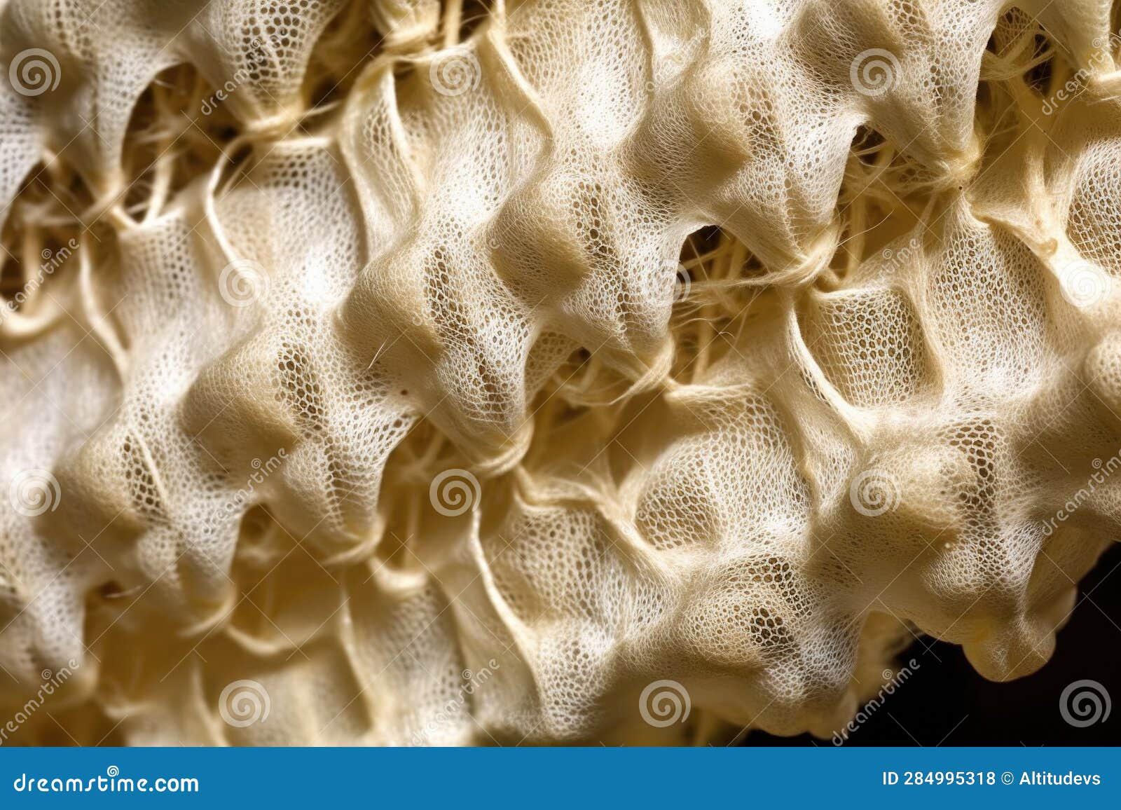 Cocoon Texture Seamless Pattern Background Royalty-Free Stock Photo ...