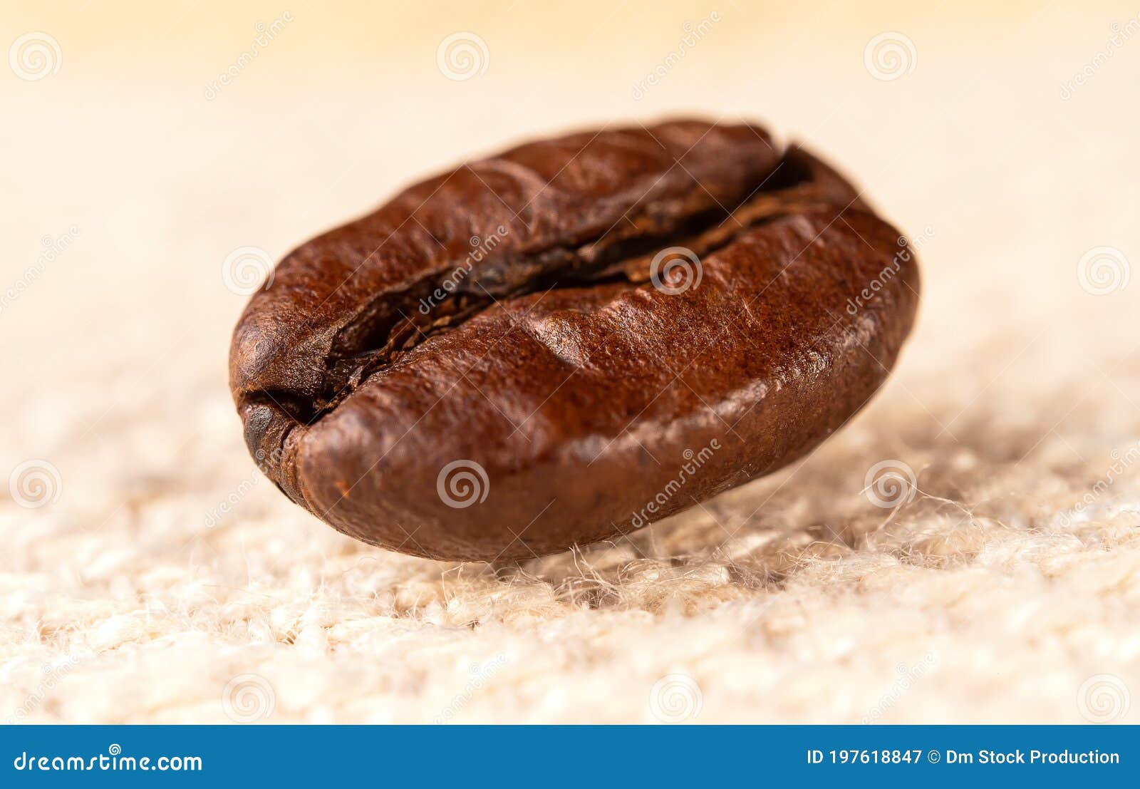 Single coffee bean stock image. Image of cappuccino - 197618847