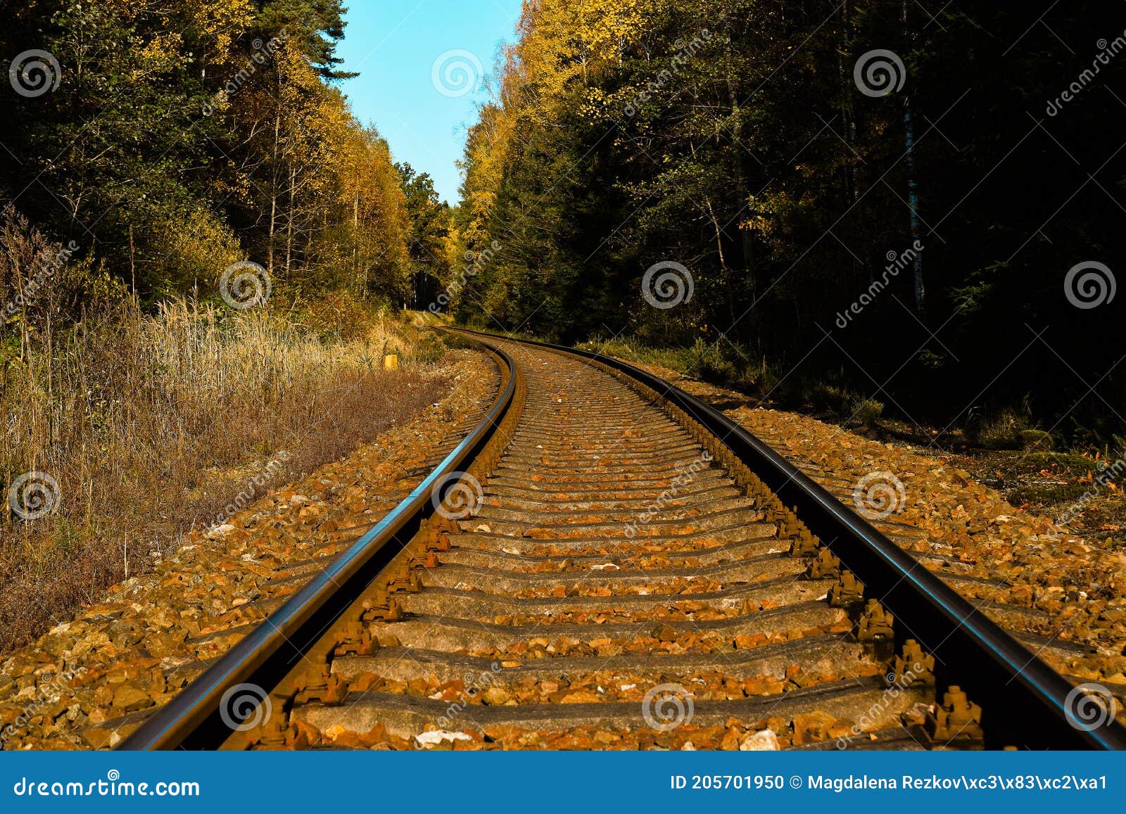 Macro View on the Train Rail Truning in Distance of Autumn Forest Stock ...