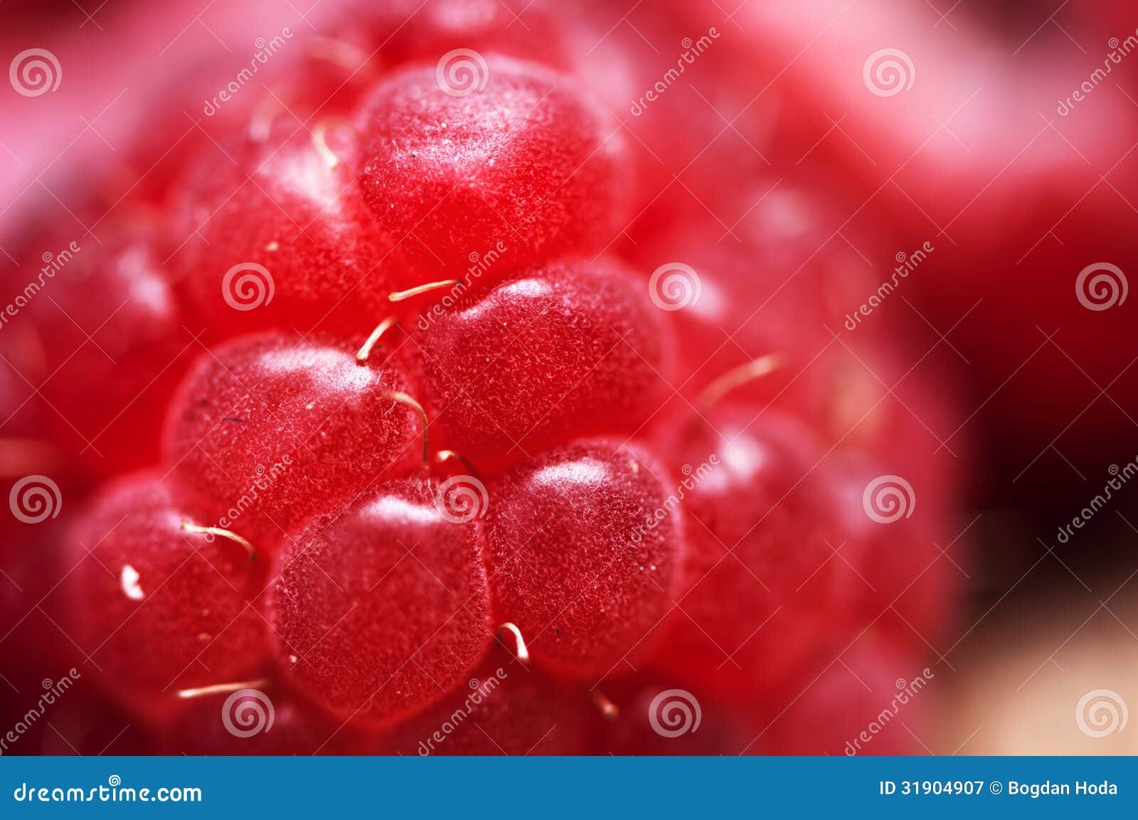 Macro Wallpaper of a Fresh Raspberry and Red Background Stock Image ...