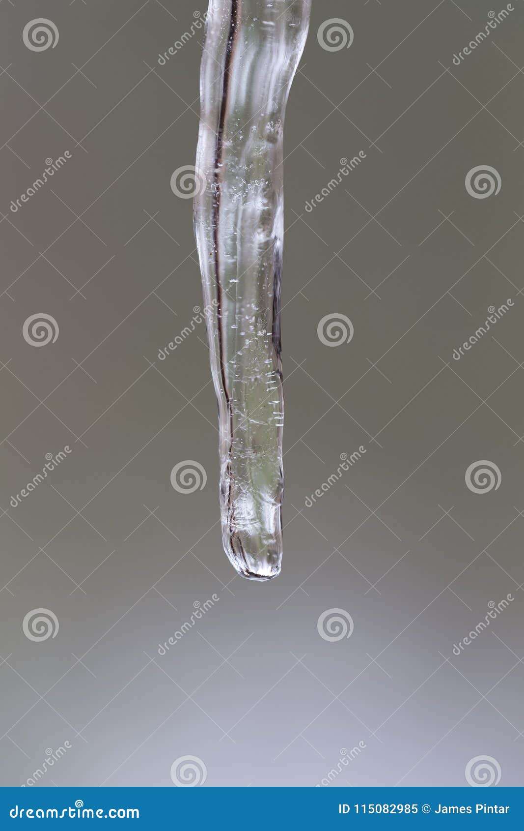 Dripping Icicle Macro stock image. Image of macro, melting - 115082985