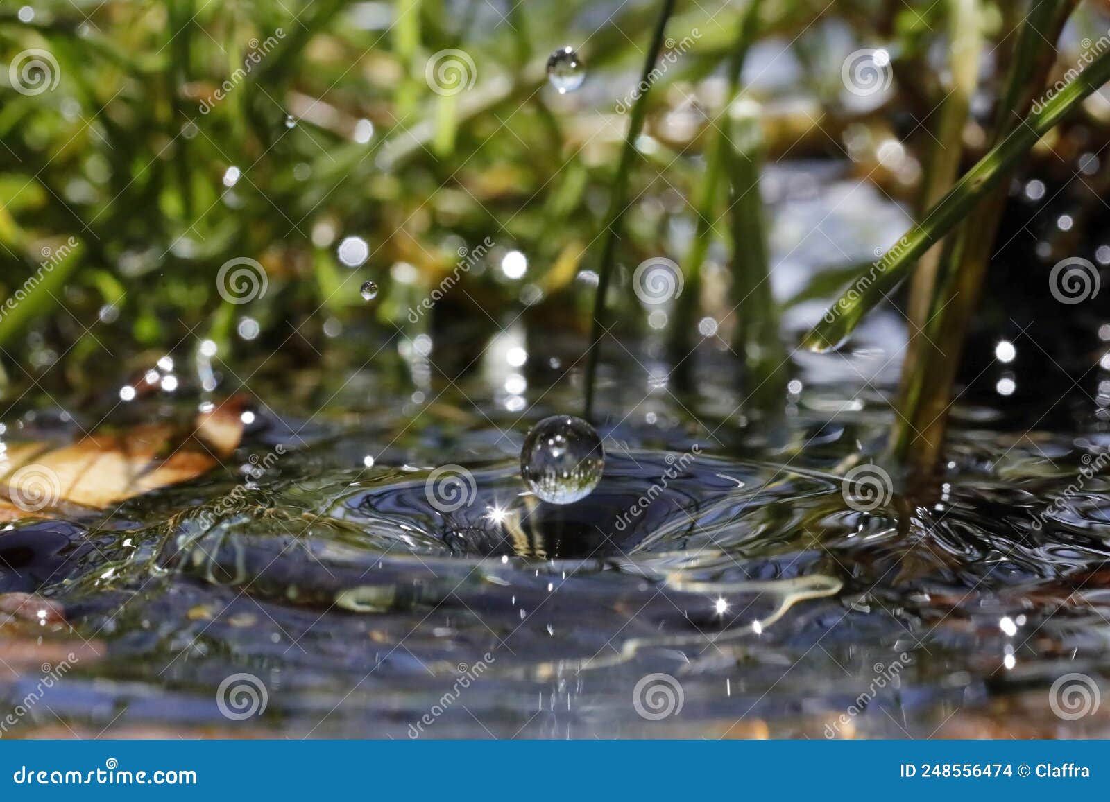Macro of water droplets stock photo. Image of ripples - 248556474