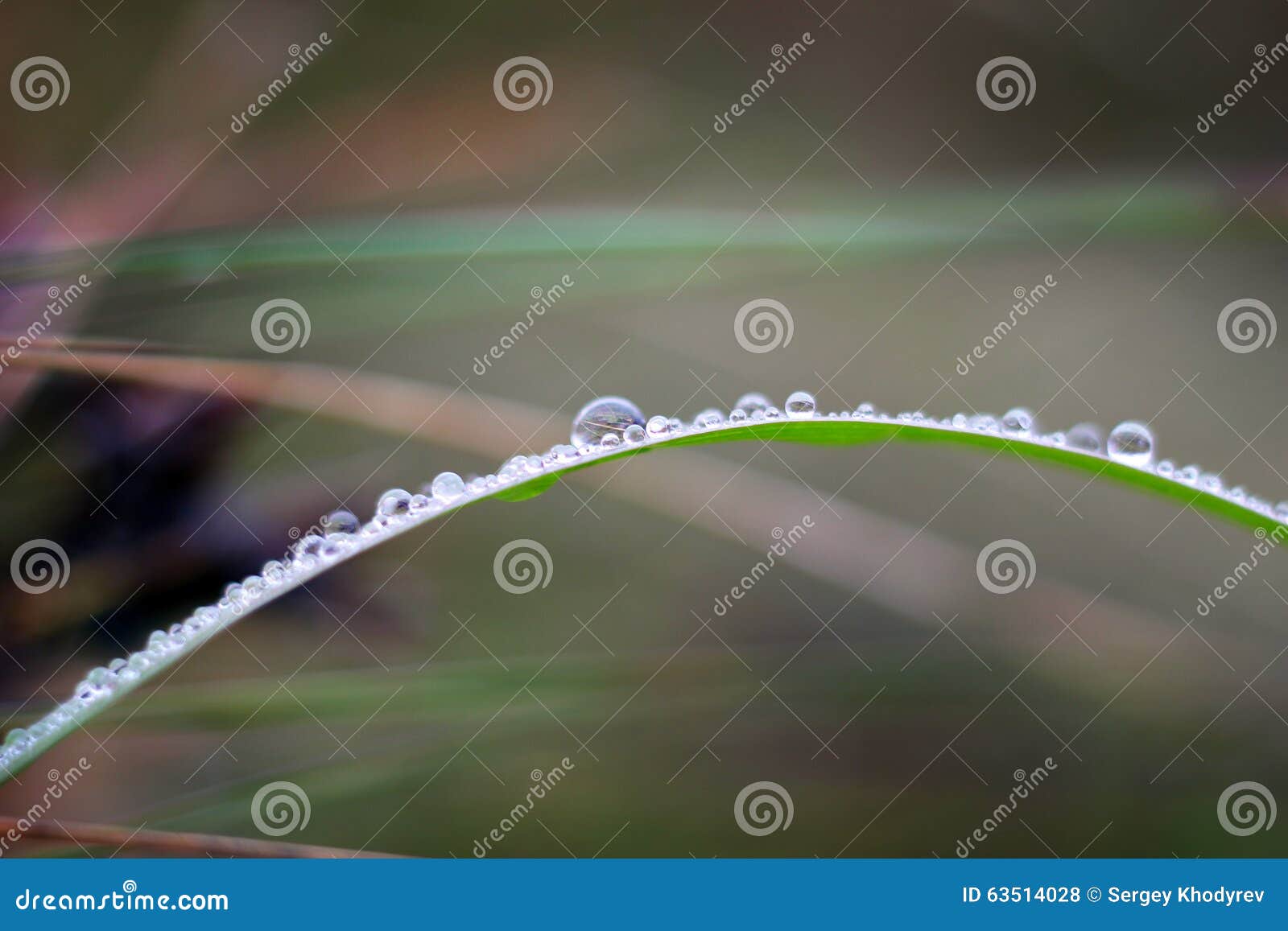 Macro waterdrop stock photo. Image of house, south, slope - 63514028