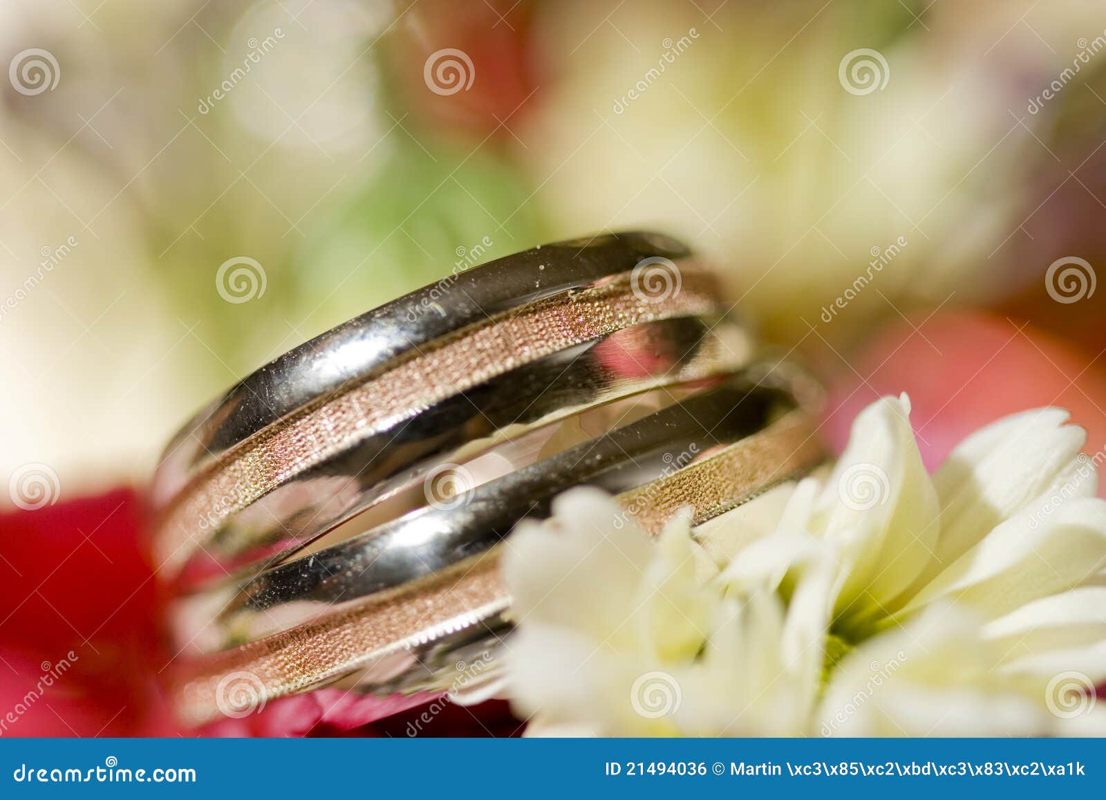 Macro wedding rings stock photo. Image of occasion, hands - 21494036
