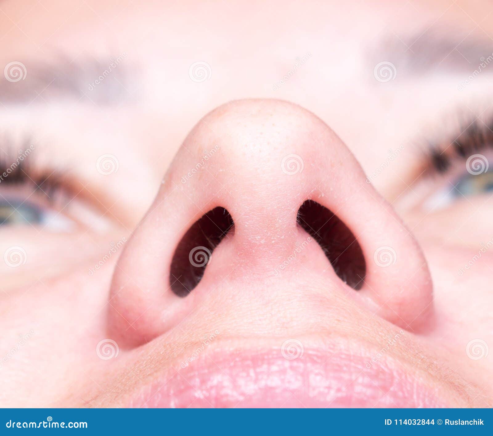 Macro of woman nose stock photo. Image of closeup, cute - 114032844
