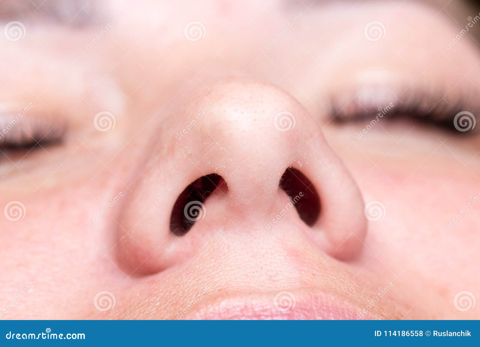 Macro of woman nose stock photo. Image of confidence - 114186558