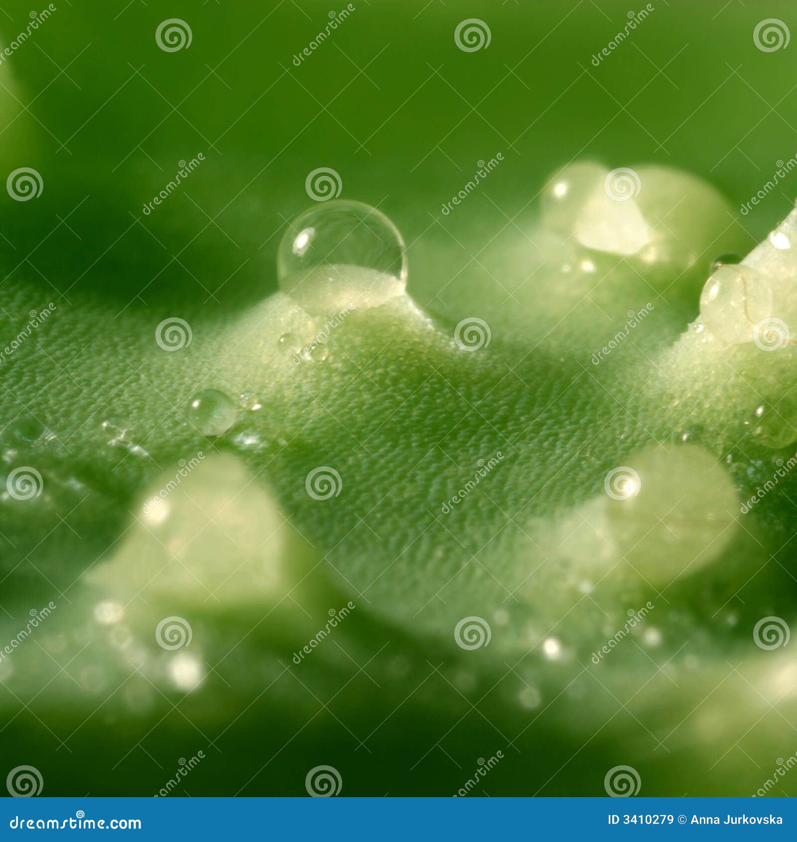 Macro world stock image. Image of shape, bubble, planet - 3410279