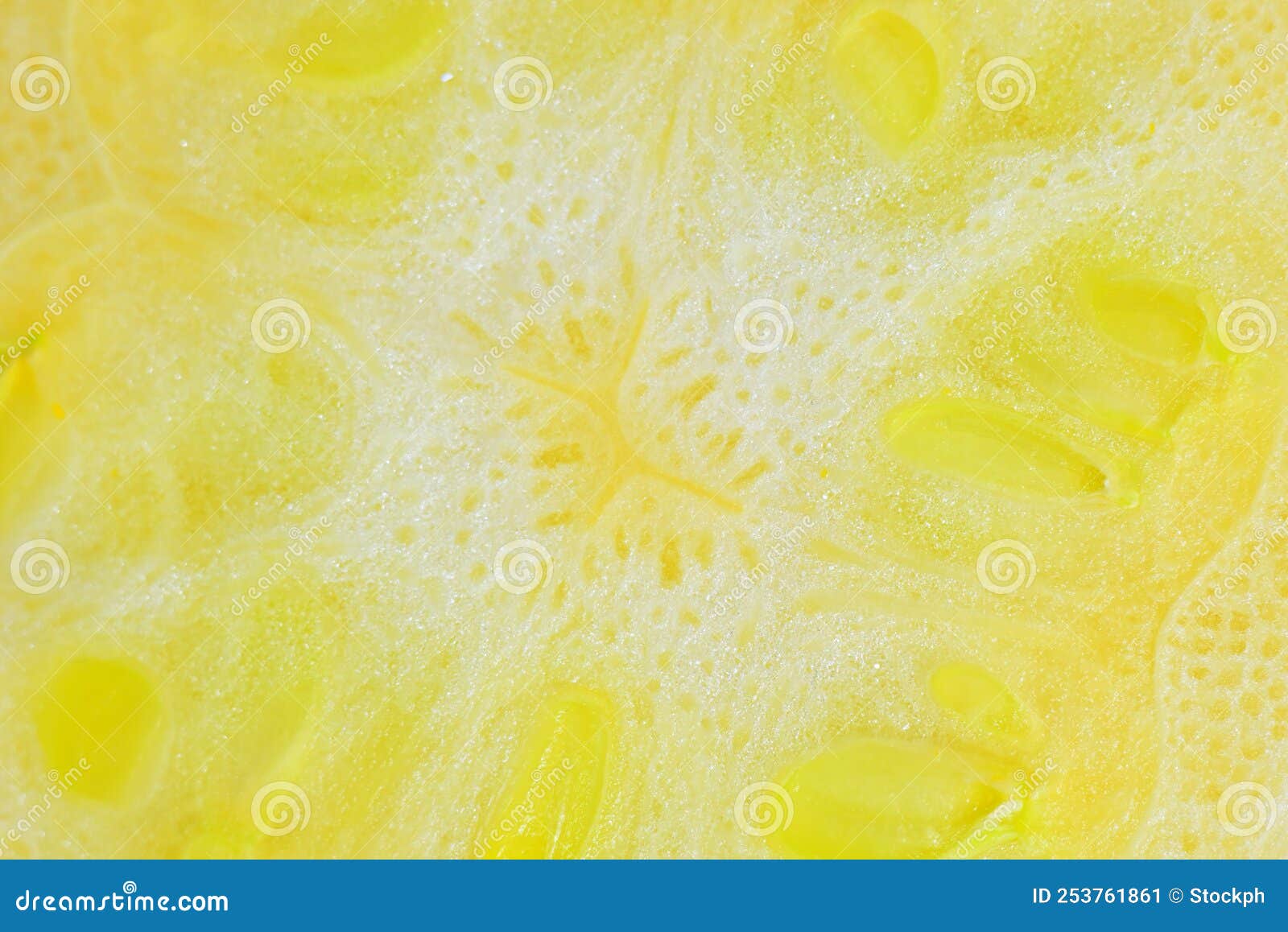 Macro Yellow Cut Zucchini Inside. Texture, Surface. Stock Image - Image ...