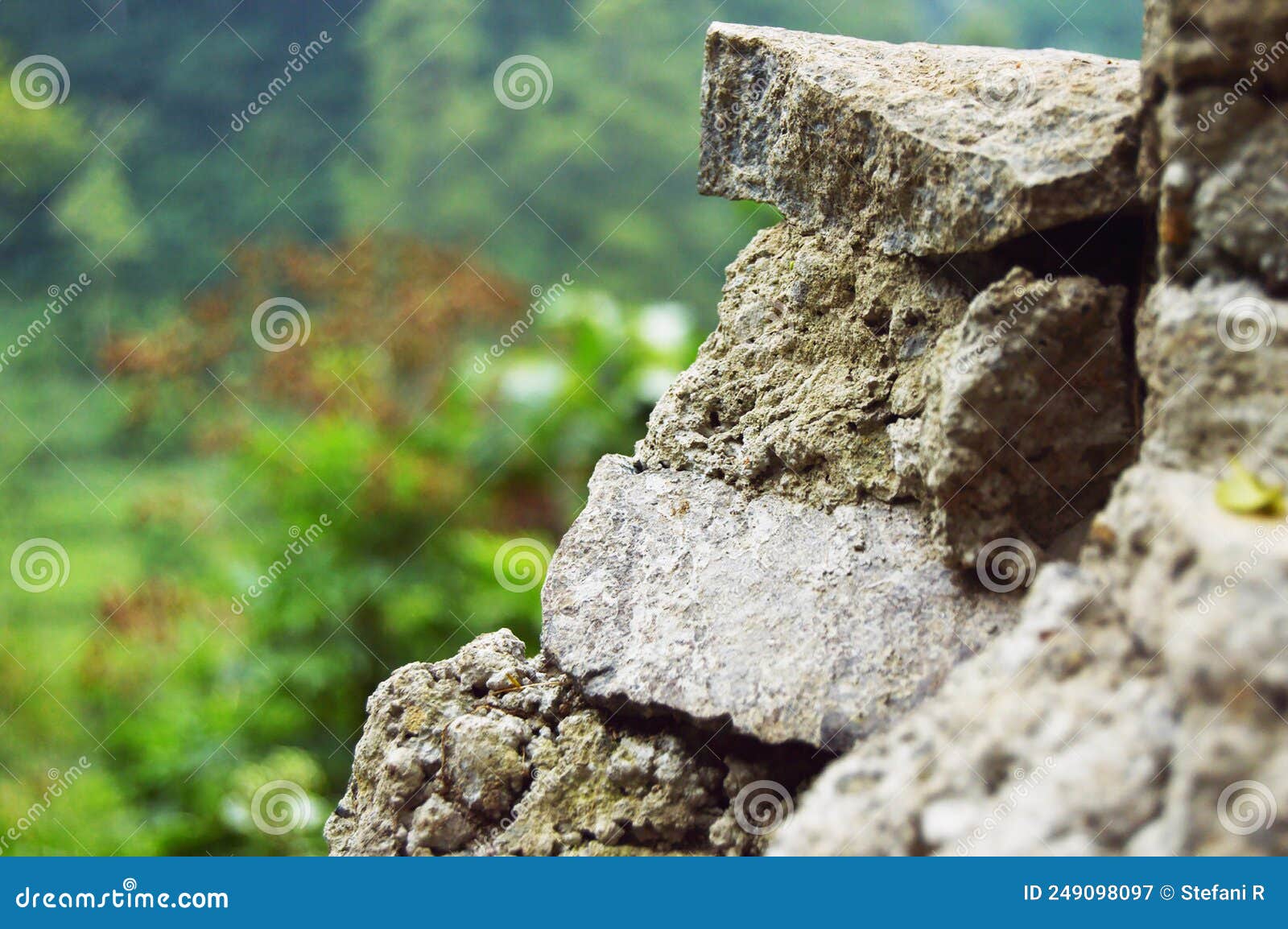 Macro Zoom in - Texture Rock Climbing Cliff on Forest Stock Image ...