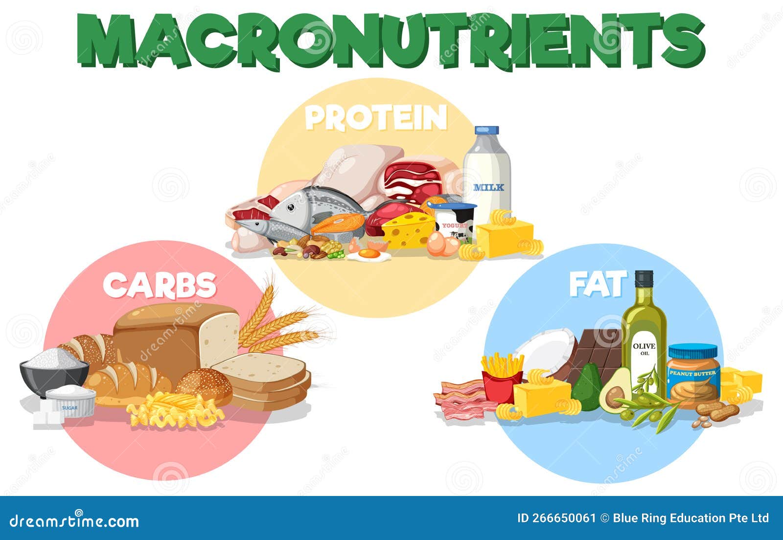 Macronutrients Diagram With Food Ingredients Vector Illustration ...