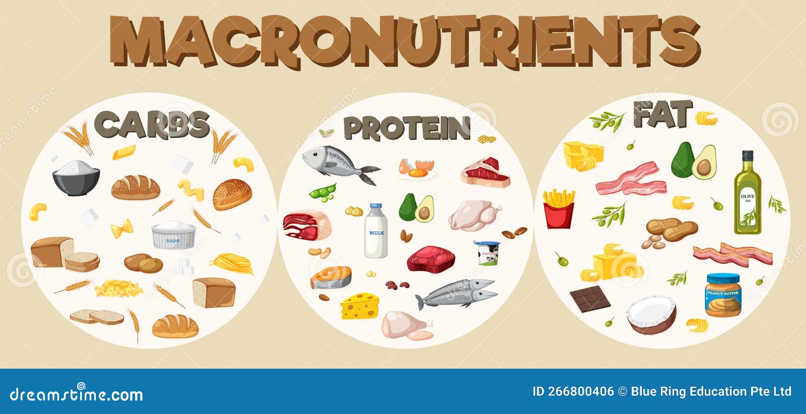Macronutrients Diagram With Food Ingredients Vector Illustration ...