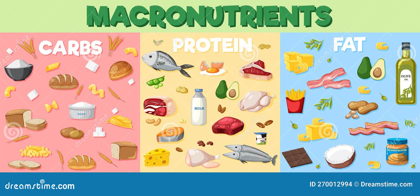 Macronutrients Diagram with Food Ingredients Stock Vector ... Macronutrients Diagram with Food Ingredients Stock Vector ...