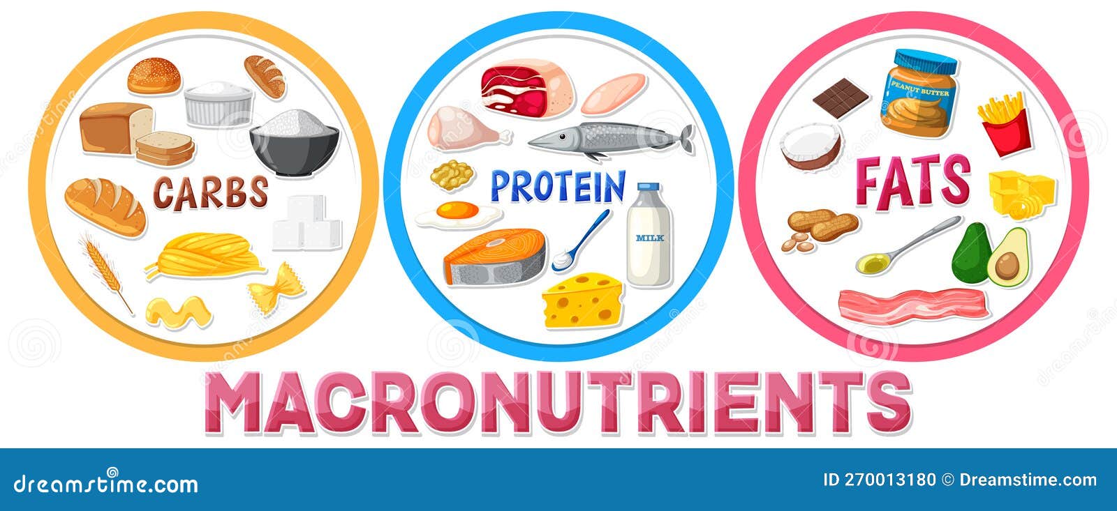 Macronutrients Diagram with Food Ingredients Stock Vector ...